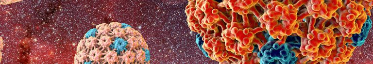 Cancer screening - Rovers Medical Devices