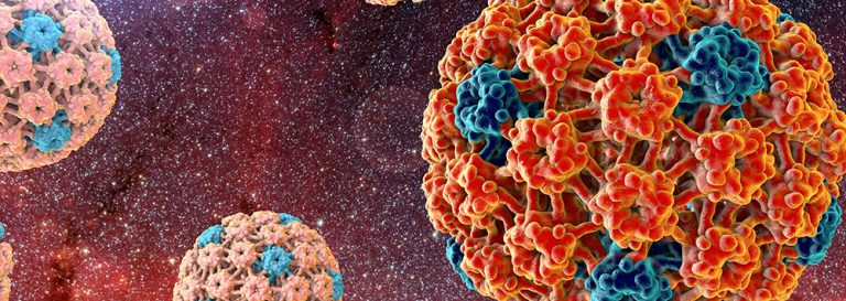 Rovers_Medical_Devices_Headers_hpv - Rovers Medical Devices